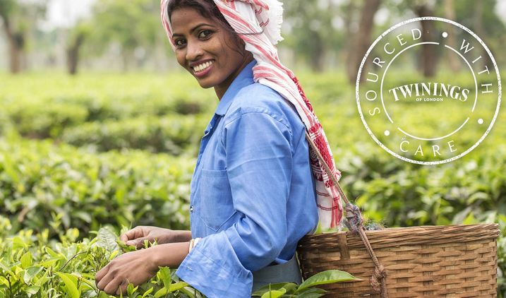 Wander AG 3176 Neuenegg - Gastrofacts Einkaufsguide